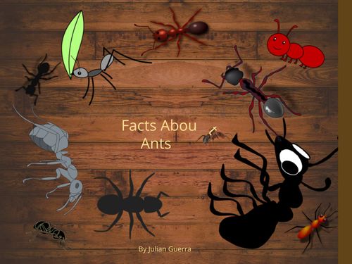 Book Creator | Facts about ants