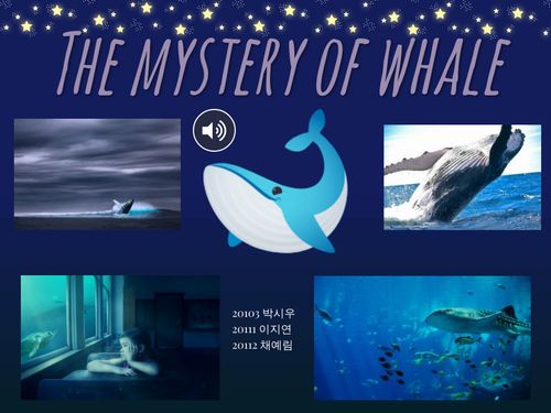 Book Creator | Mystery of whale