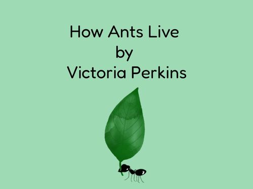 Book Creator | How Ants Live