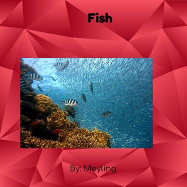 Book Creator | Fish
