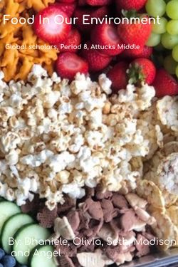 Book Creator | Food in Hollywood, Florida