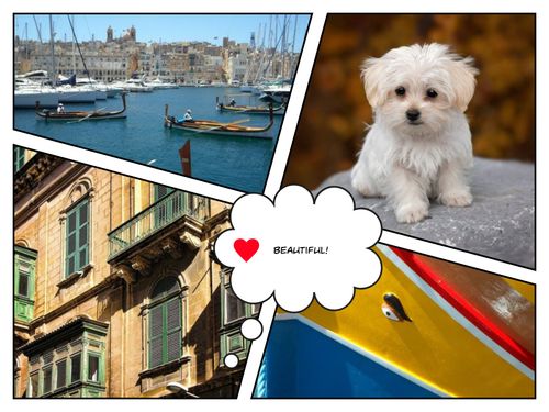 Book Creator | My book of Malta