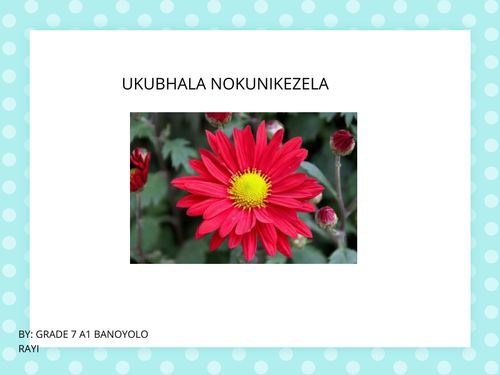 Book Creator | ukubhala nokunikezela
