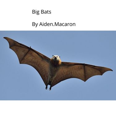 Book Creator | Big Bats