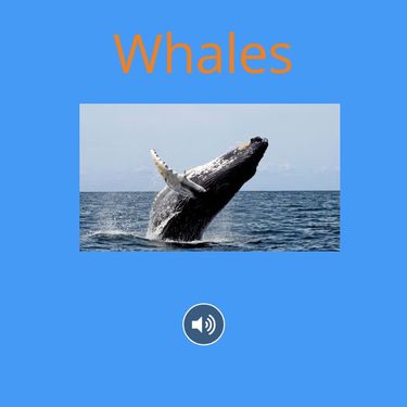 Book Creator | Whales