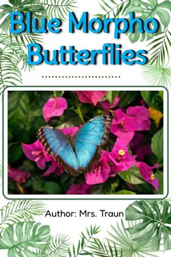 Book Creator | Blue Morpho Butterflies