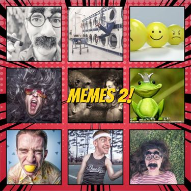 Book Creator | Memes 2