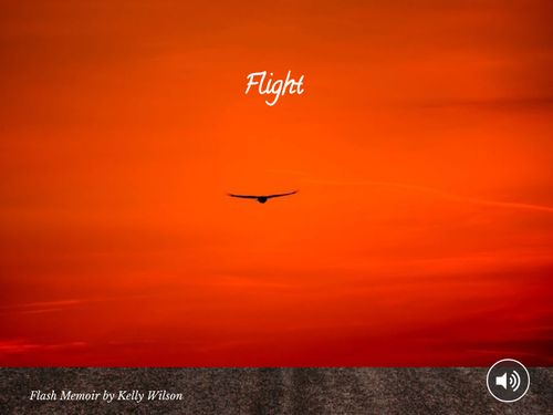 Book Creator | Flight