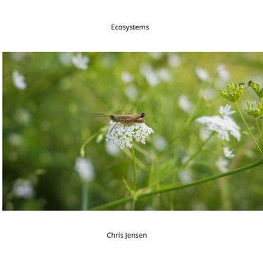 Book Creator | Ecosystems