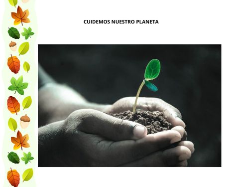 Book Creator | CUIDEMOS EL PLANETA