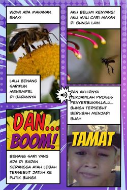 Book Creator | pollination process