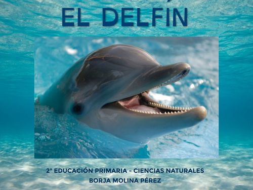 Book Creator | EL DELFIN