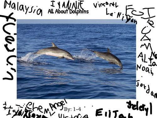 Book Creator | All About Dolphins
