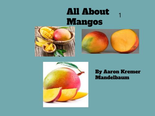 Book Creator | Mango