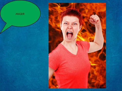 Book Creator | Anger