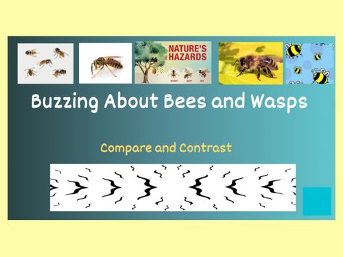 Book Creator | Buzzing about Bees and Wasps