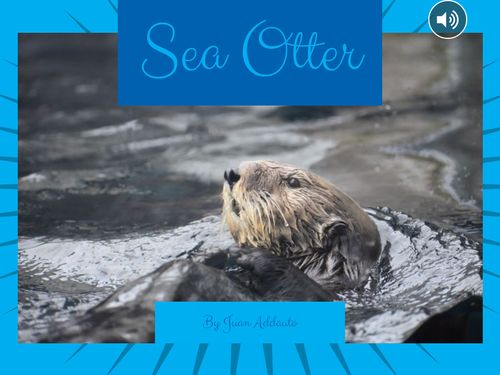 Book Creator | Sea Otter