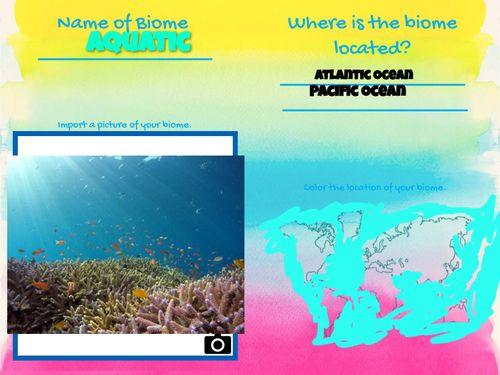 Book Creator | (copy) Grade 1 Biome Research Portfolio Template