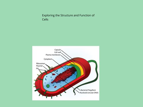 Book Creator | Exploring the Structures and Function in the Cell