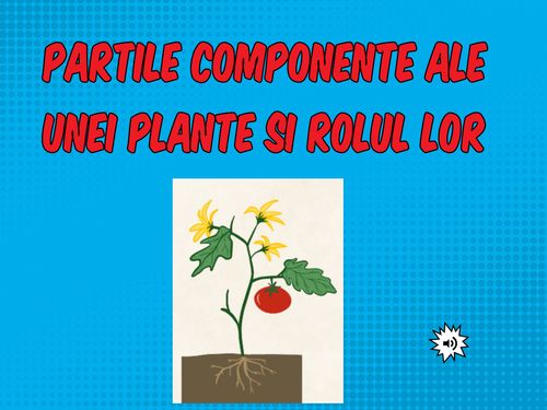Book Creator | Partile componente ale unei plante si rolul lor