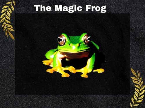 Book Creator | Magic Frog
