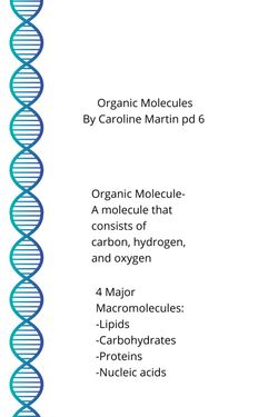 Book Creator | Macromolecules
