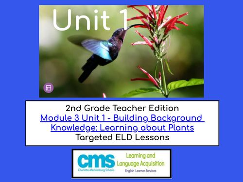 Book Creator | M3 Unit 1 Targeted ELD Lessons