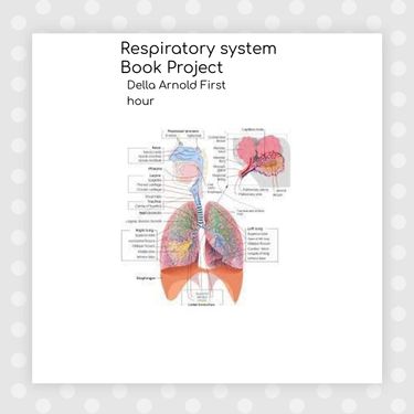 Book Creator | Respiratory System