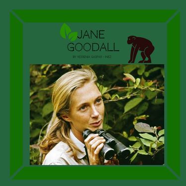 Book Creator | Jane Goodall