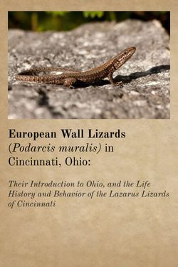 Book Creator | The Lazarus Lizards of Cincinnati