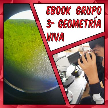 Book Creator | GEOMETRÍA VIVA- GRUPO 3