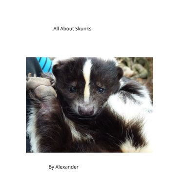 Book Creator | All About Skunks
