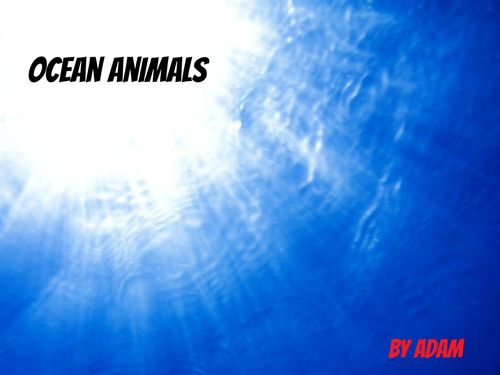 Book Creator | Ocean Animals