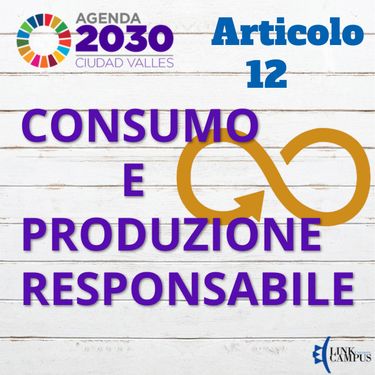 Book Creator | ARTICOLO 12