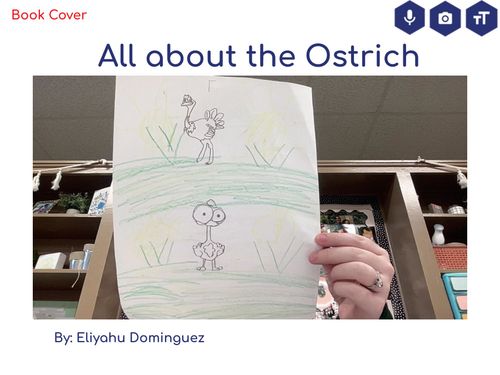 Book Creator | All About the Ostrich