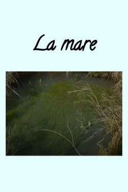 Book Creator | la mare