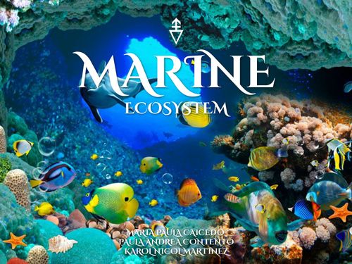 Book Creator | ECOSISTEMA MARINO