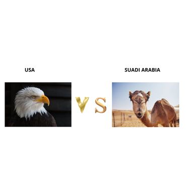 Book Creator | Zekaria's History of Saudi Arabia/US conflict