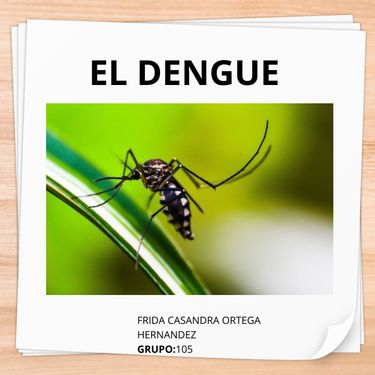 Book Creator | EL DENGUE