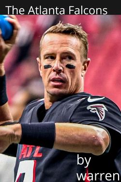 Book Creator | The ATL falcon