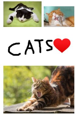 Book Creator | cats