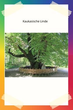 Book Creator | linde