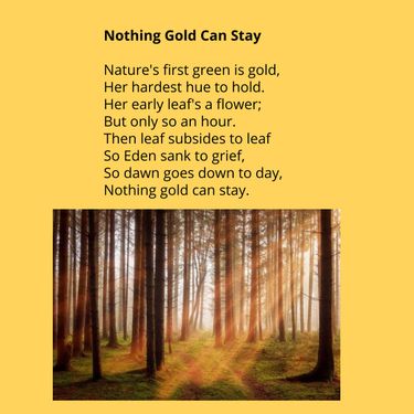 Book Creator | My Favorite Poem