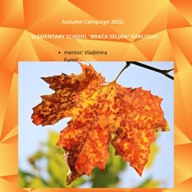 Book Creator | Autumn Campaign 2023