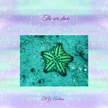 Book Creator | The Sea Stars - Endangered Species