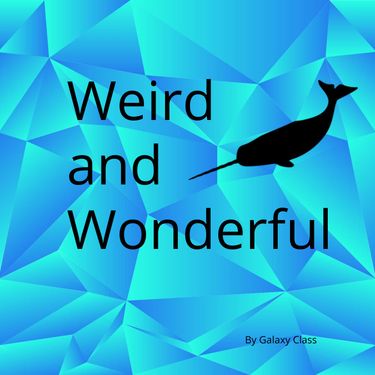 Book Creator | Weird and Wonderful
