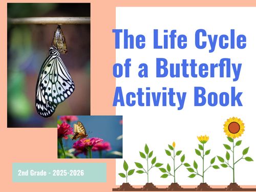 Book Creator | Butterfly Life Cycle Interactive Book
