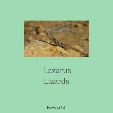 Book Creator | The Lazarus Lizards