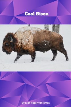 Book Creator | Bison