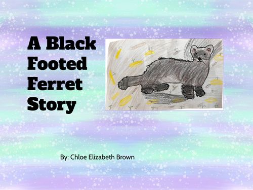 Book Creator | A Black Footed Ferret's Story